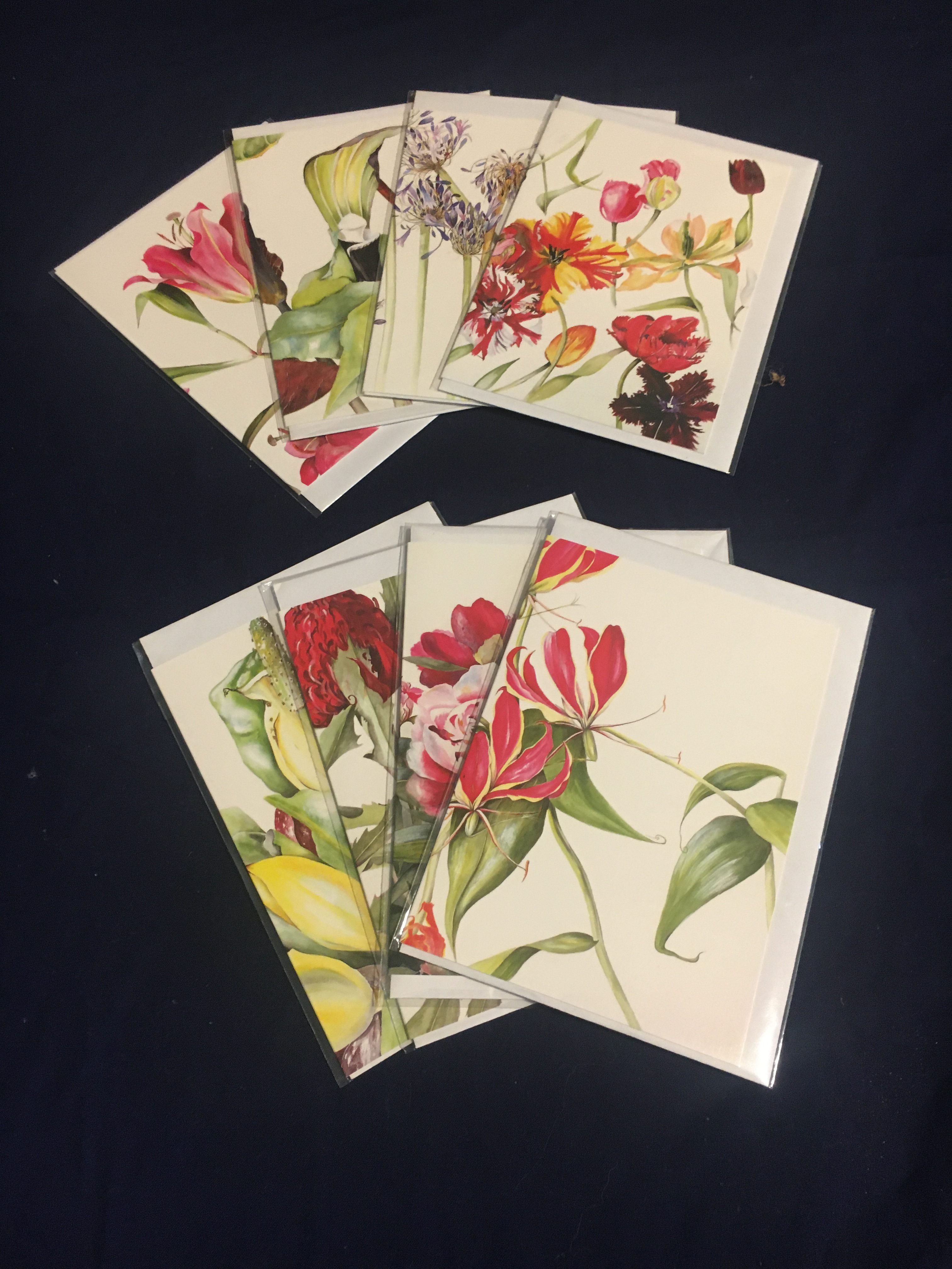 Small cards - Cornwallis Art